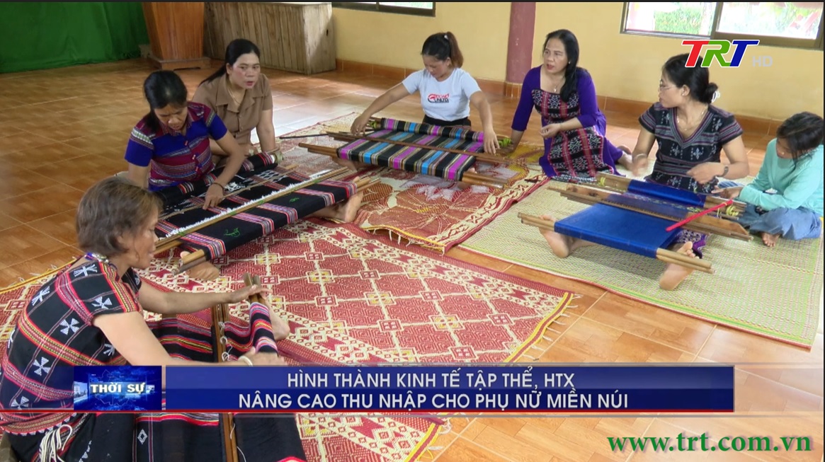 Hình thành kinh tế tập thể, HTX để nâng cao thu nhập cho phụ nữ miền ...