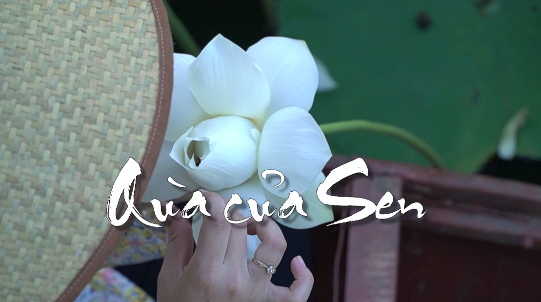 Huế Nghề xưa - Nghề nay: Quà của Sen | Báo và Phát thanh, Truyền hình Huế